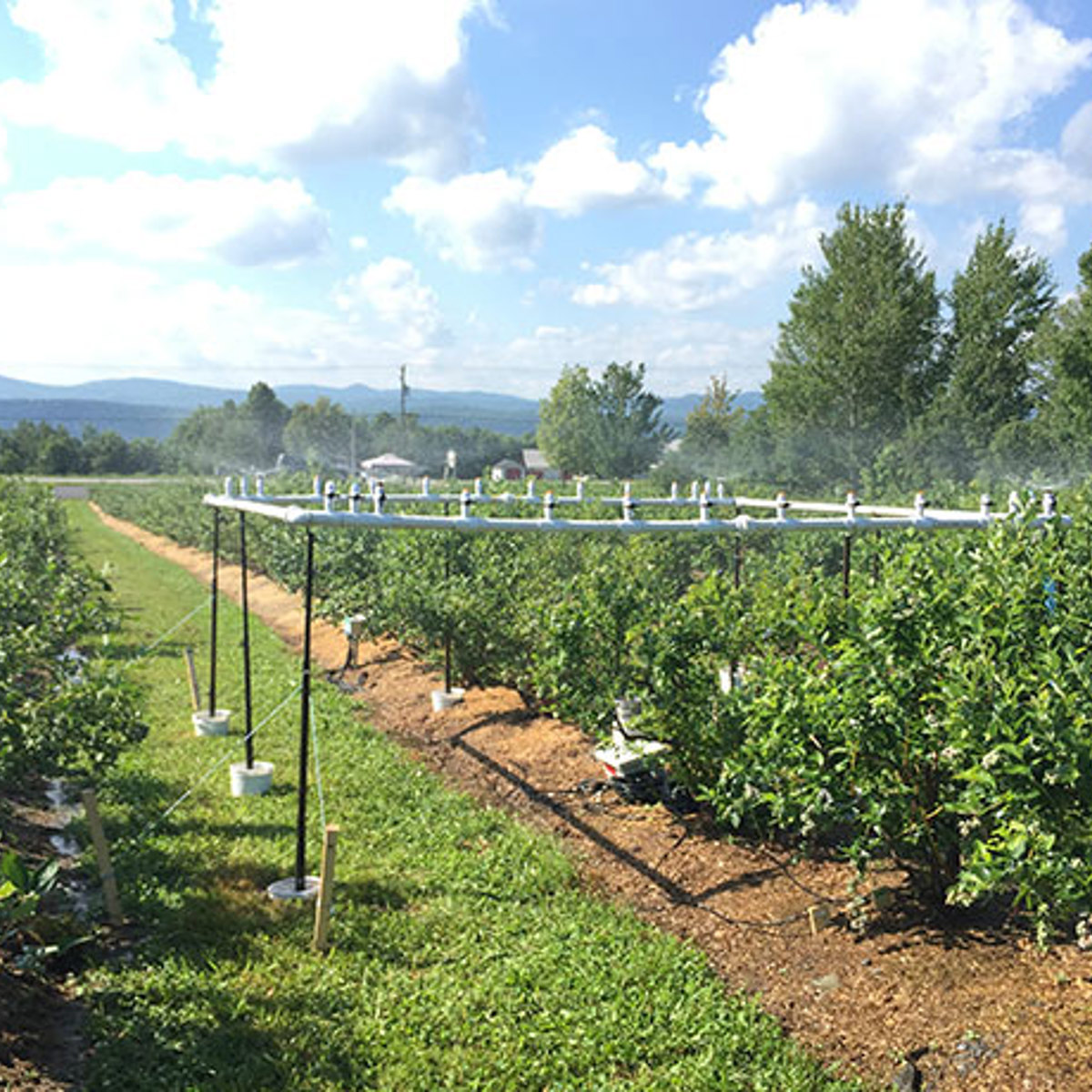 Améliorer la gestion de l’irrigation en évaluant de façon précise l ...